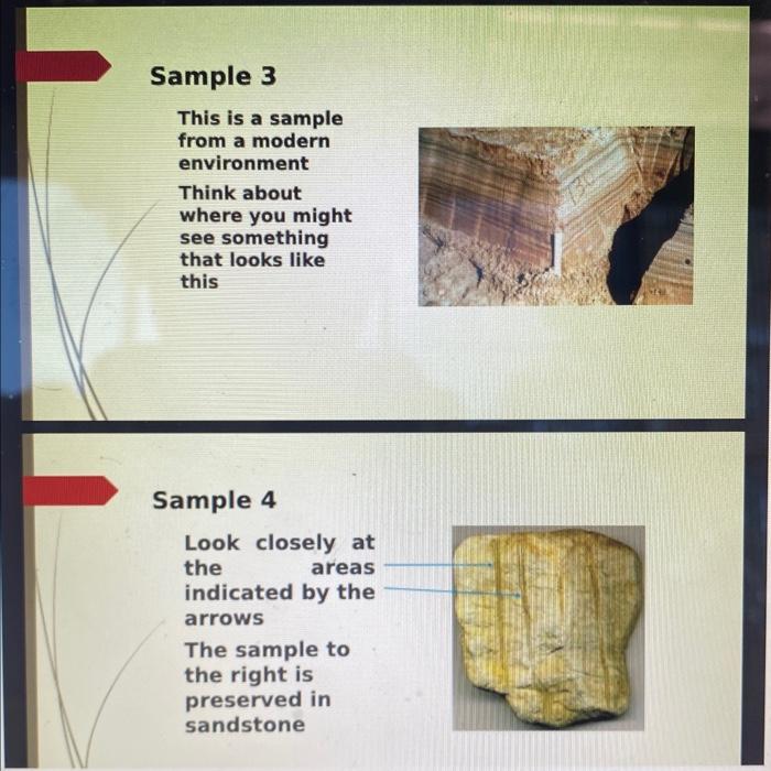 Solved Using the sedimentary structures provided in the lab, | Chegg.com