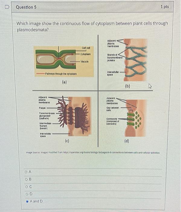 Solved Which image show the continuous flow of cytoplasm | Chegg.com