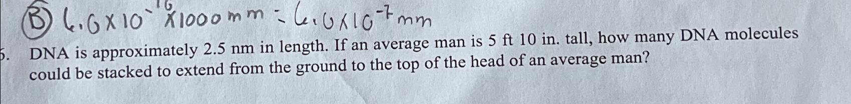Solved DNA is approximately 2.5nm ﻿in length. If an average | Chegg.com