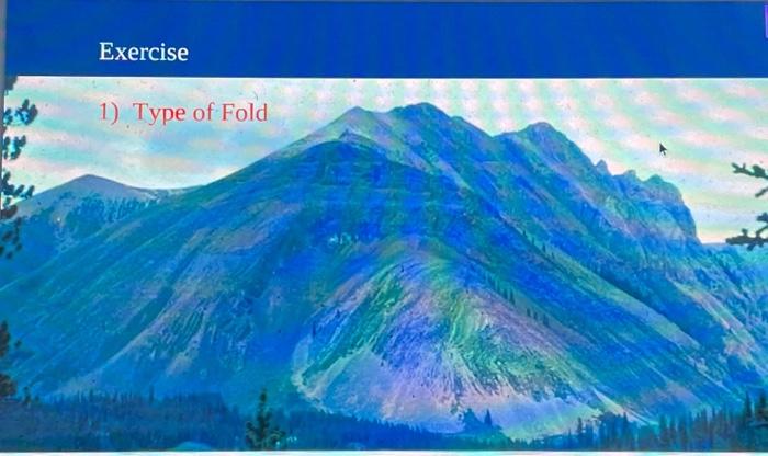 Solved Exercise 1) Type of Fold 2) Type of Fold 5) Type | Chegg.com