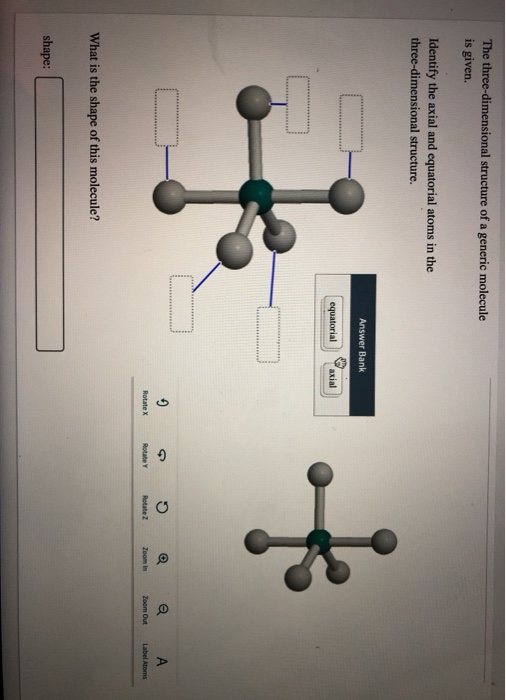 Solved The three-dimensional structure of a generic molecule | Chegg.com