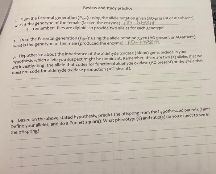 Solved Exercise \# 2 Determining the Pattern of Inheritance | Chegg.com