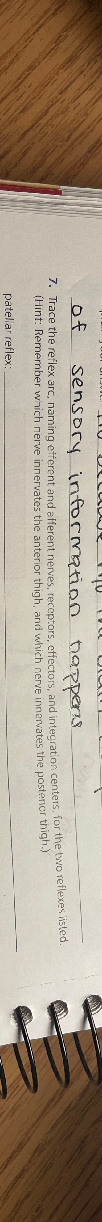 Solved 7. ﻿Trace the reflex arc, naming efferent and | Chegg.com