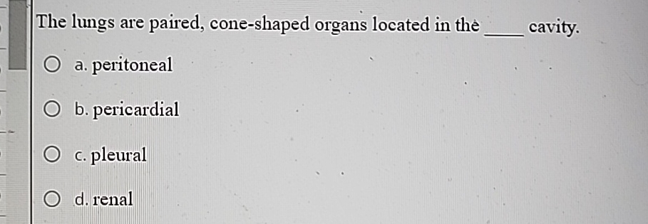 Solved The lungs are paired, cone-shaped organs located in | Chegg.com