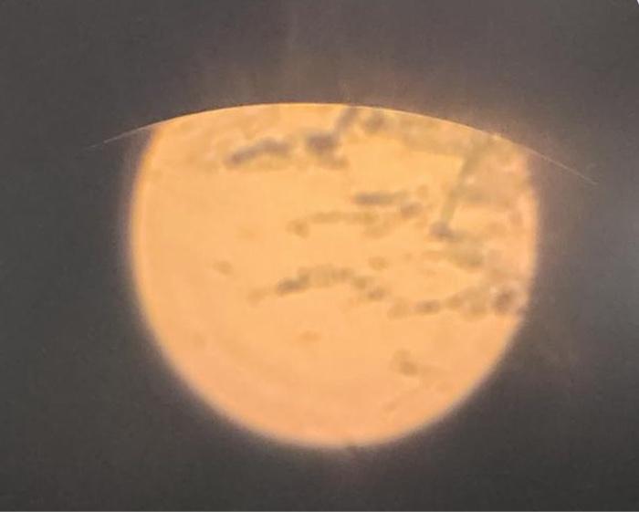 Solved Create a graph, chart, and point the key features of | Chegg.com