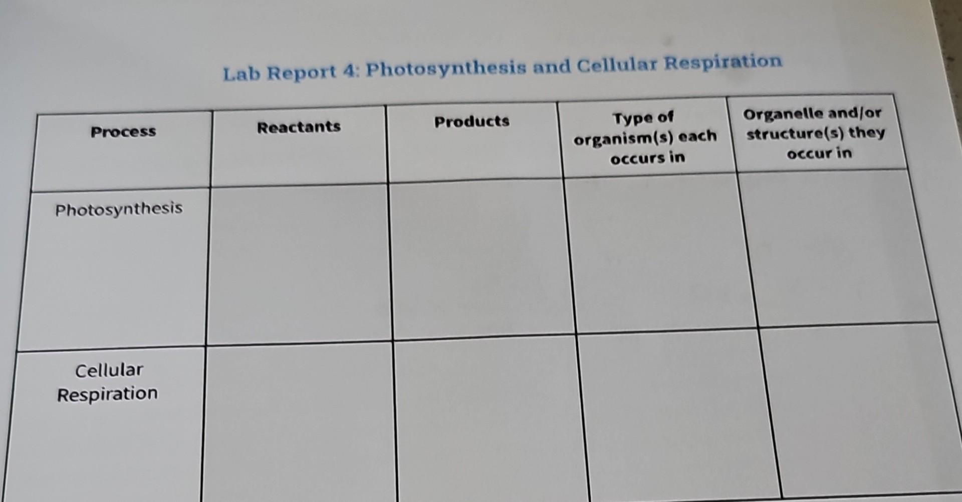 Solved Lab Report 4: Photosynthesis and Cellular Respiration | Chegg.com