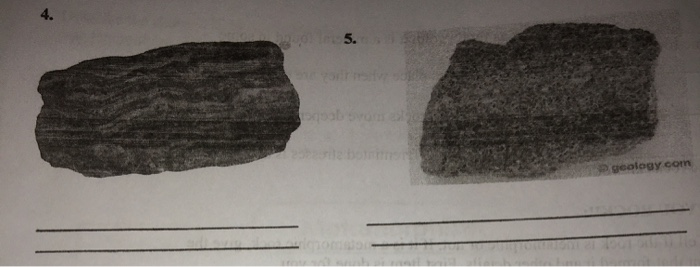 Solved Activity 2: YOU ROCK!!: Direction: Tell if the rock | Chegg.com