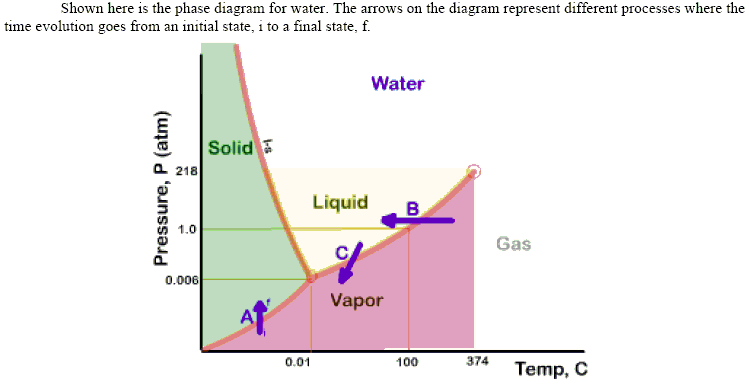 Describe briefly the process represented by arrow A. | Chegg.com Describe briefly the process represented by arrow A. | Chegg.com