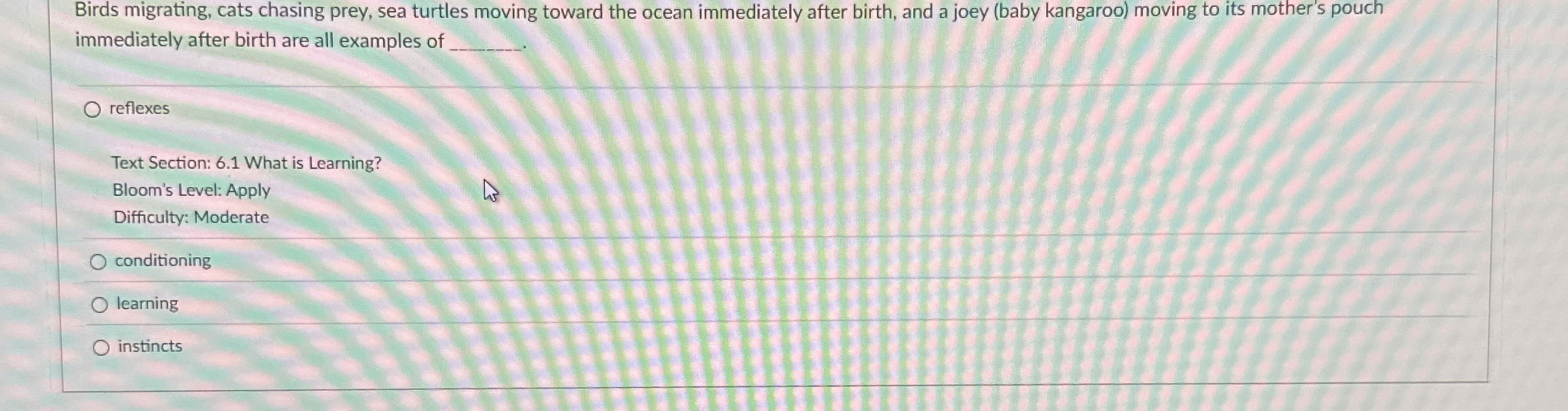 Solved Birds migrating, cats chasing prey, sea turtles | Chegg.com