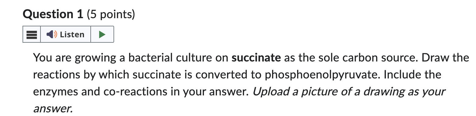 Solved Question 1 (5 ﻿points) ﻿You are growing a bacterial | Chegg.com