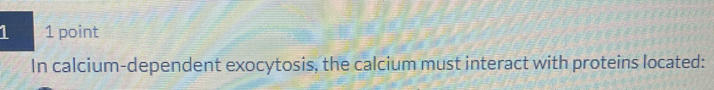 Solved 1 ﻿pointIn calcium-dependent exocytosis, the calcium | Chegg.com