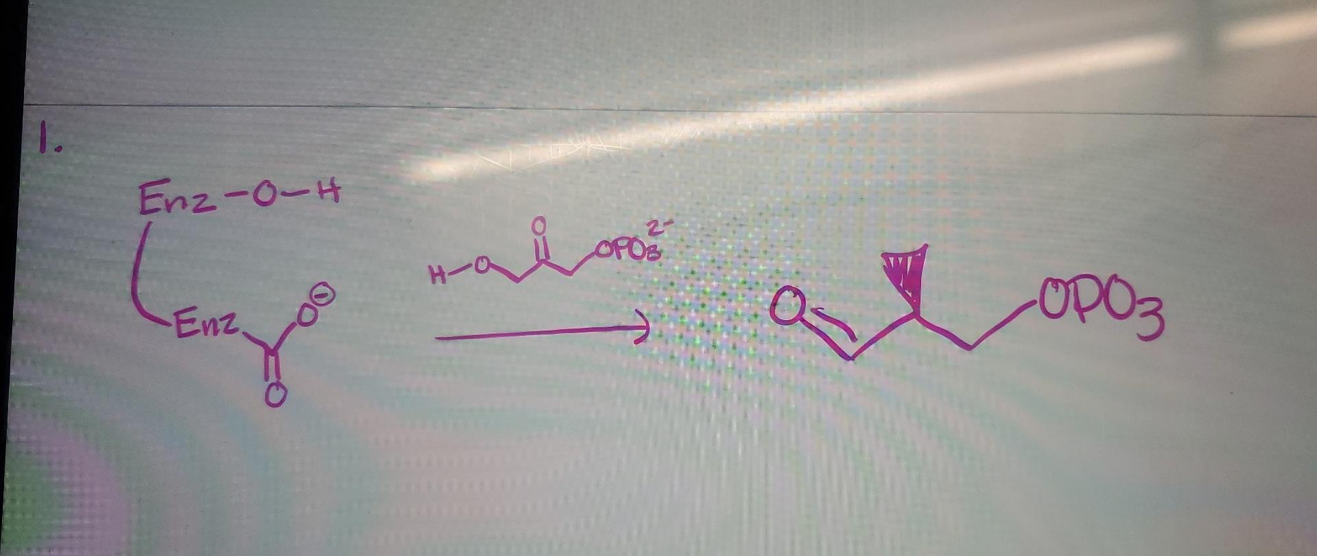 Solved Enz-O-H 2- Halopo ai H- load -Enz. OPO3 1. (10 pt) | Chegg.com