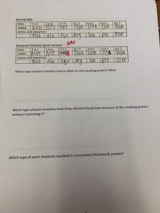 Solved Worksheet 8 Gene Expression and DNA Technology (15 | Chegg.com