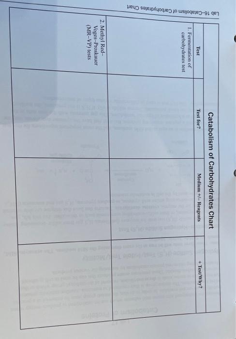 Solved Catabolism of Carbohydrates Chart Test Test for? | Chegg.com