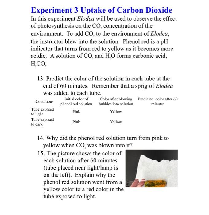 Solved Experiment 3 Uptake of Carbon Dioxide In this | Chegg.com