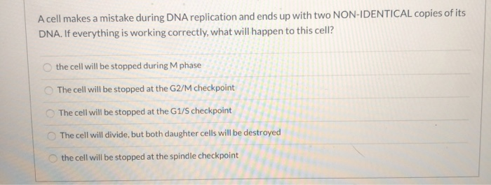 Solved A cell makes a mistake during DNA replication and | Chegg.com