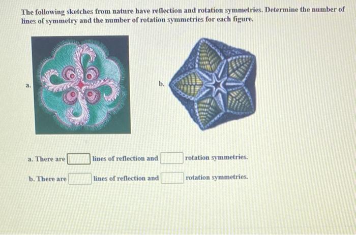 Solved The Following Sketches From Nature Have Reflection