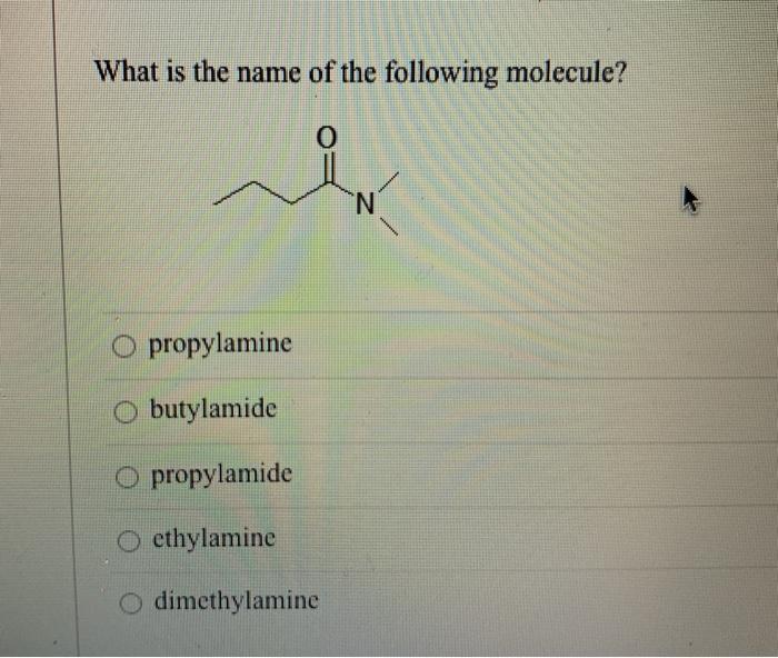 Solved What is the name of the following molecule? 0 N | Chegg.com