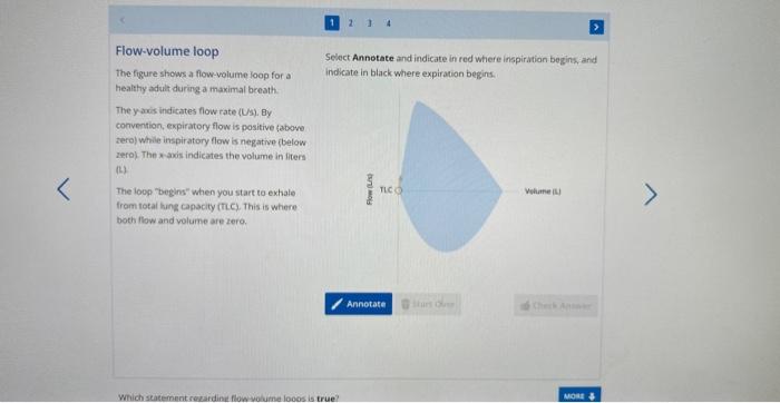Solved Flow-volume loop Select Annotate and indicate in red | Chegg.com