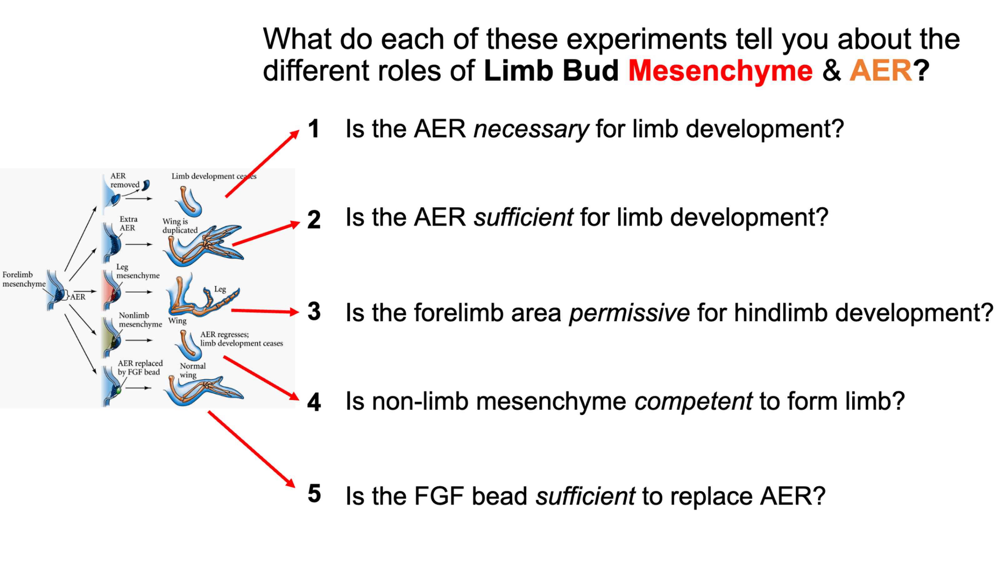 Solved Know the 3 ﻿limb axes and what they refer to: | Chegg.com