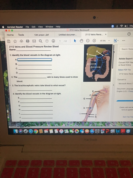 Solved Acrobat Reader File Edit View Window Help 2112 Veins | Chegg.com