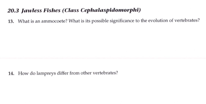 Solved 20.3 Jawless Fishes (Class Cephalaspidomorphi) 13. | Chegg.com
