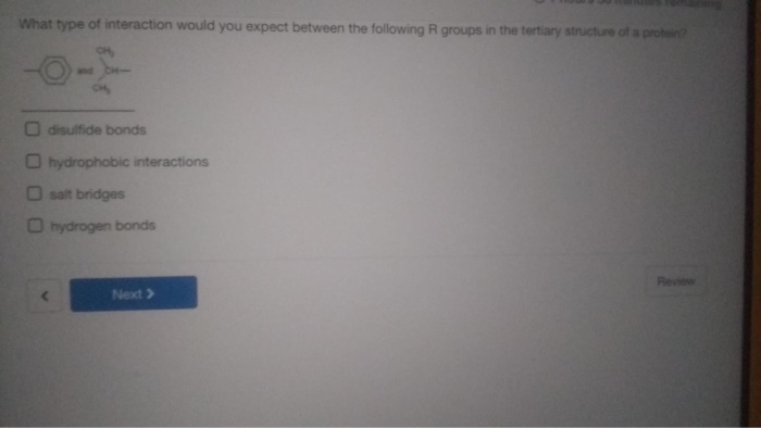 Solved What type of interaction would you expect between the | Chegg.com