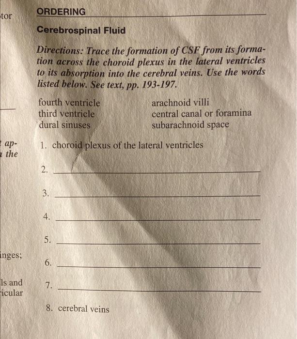 Solved Cerebrospinal Fluid Directions: Trace the formation | Chegg.com