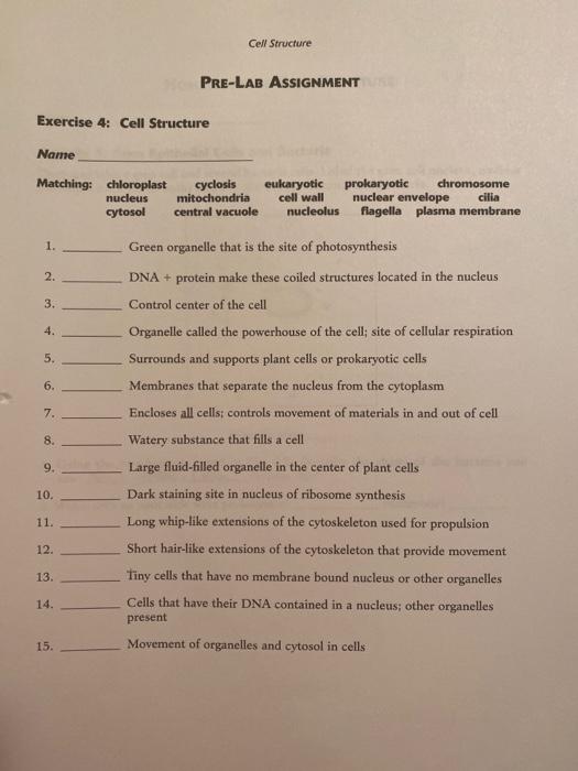 Solved Cell Structure PRE-LAB ASSIGNMENT Exercise 4: Cell | Chegg.com
