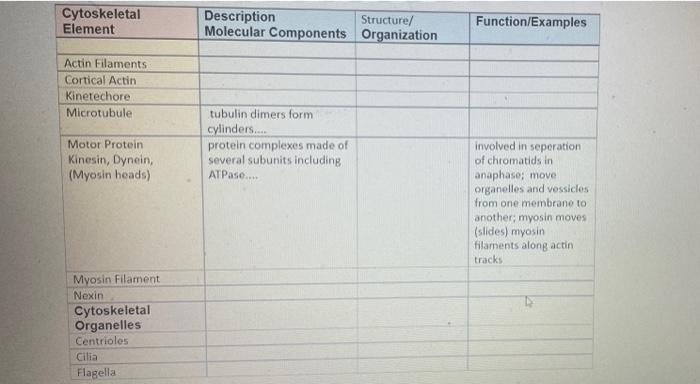 Solved Cytoskeletal Element Description Structure/ Molecular | Chegg.com