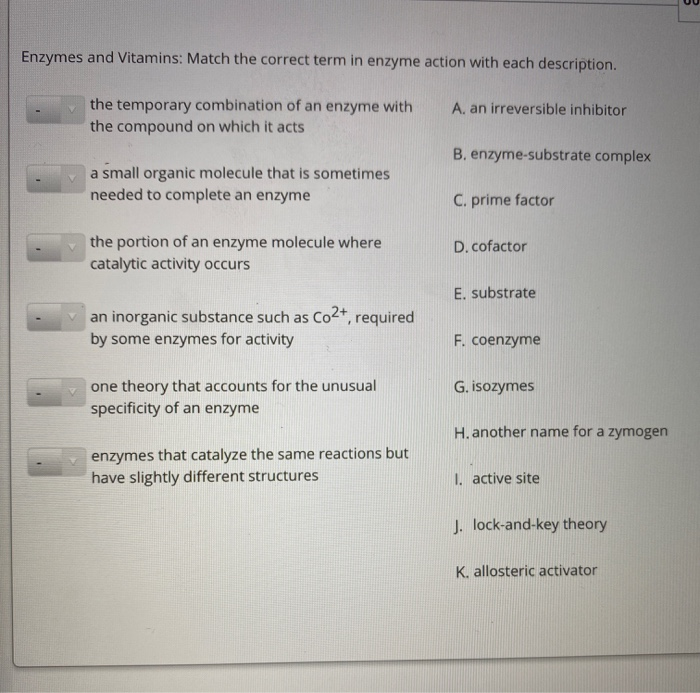 Solved Enzymes and Vitamins: Match the correct term in | Chegg.com