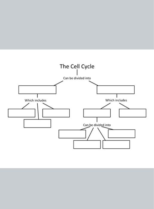 Solved Which includes The Cell Cycle Can be divided into | Chegg.com