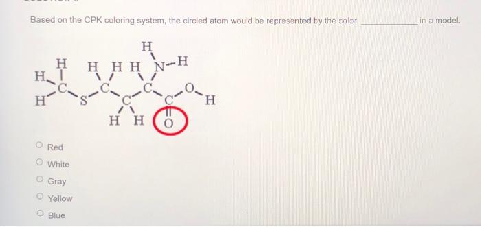 Solved Based on the CPK coloring system, the circled atom | Chegg.com