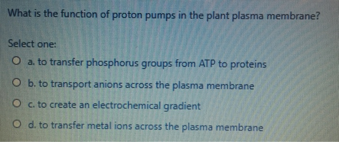 Solved What is the function of proton pumps in the plant | Chegg.com
