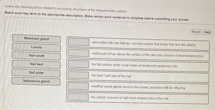 Solved Define the following terms related to accessory | Chegg.com