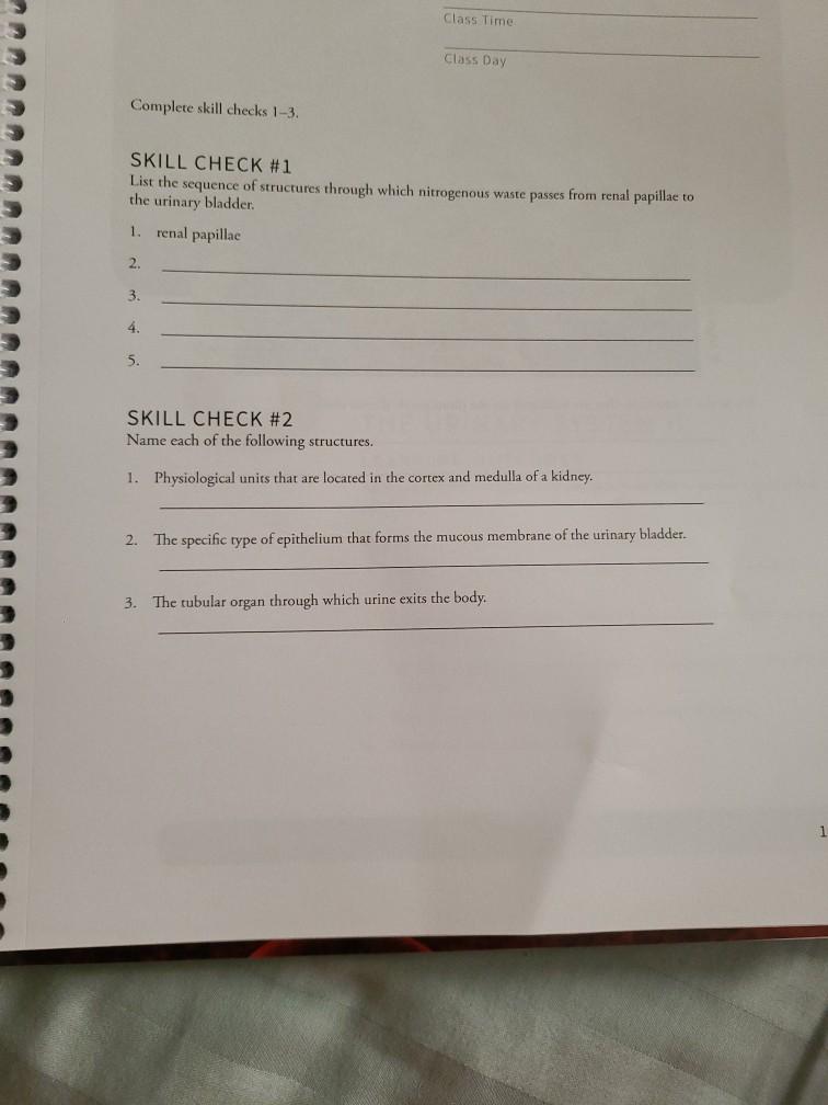 Solved Complete skill checks 1-3. SKILL CHECK #1 Using | Chegg.com