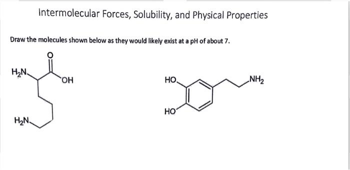 Solved Intermolecular Forces, Solubility, and Physical | Chegg.com