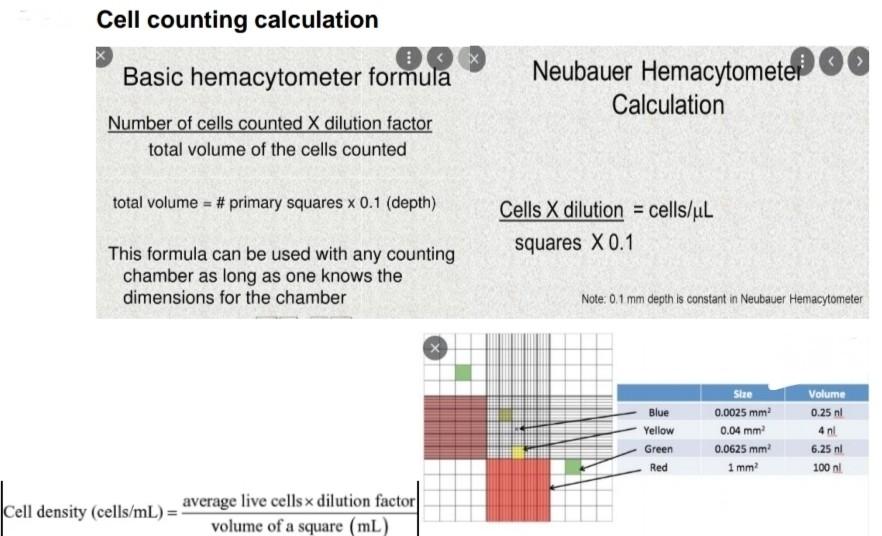 Solved 6.1 EXPECTED RESULT FOR CELL COUNT USING | Chegg.com