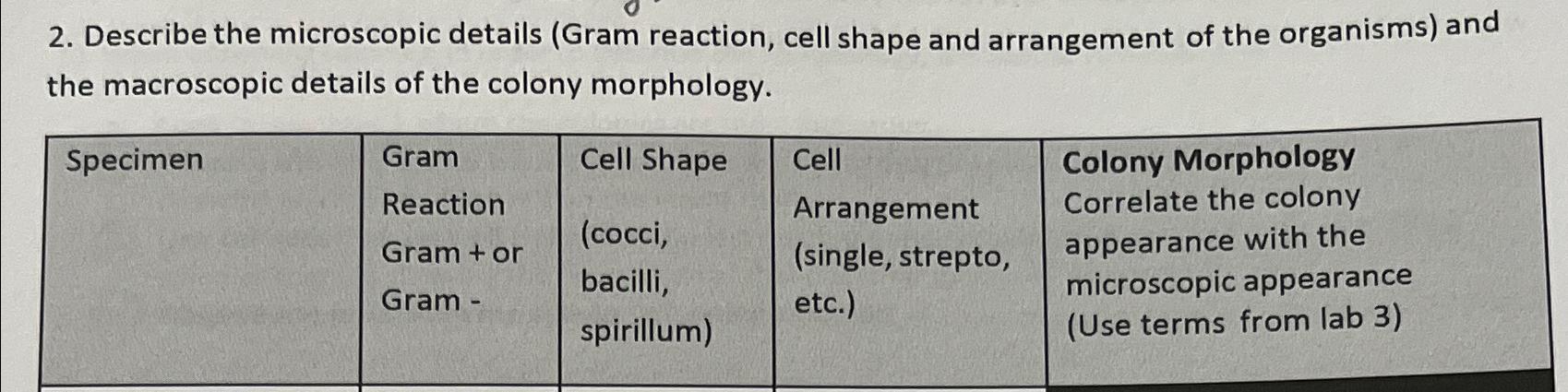 Solved Describe the microscopic details (Gram reaction, cell | Chegg.com