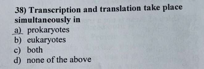 Solved Transcription and translation take place | Chegg.com