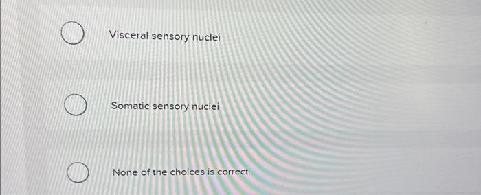 Solved This figure shows neuron pathways and nuclei | Chegg.com