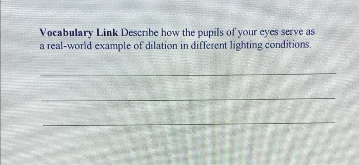 Solved Vocabulary Link Describe how the pupils of your eyes | Chegg.com