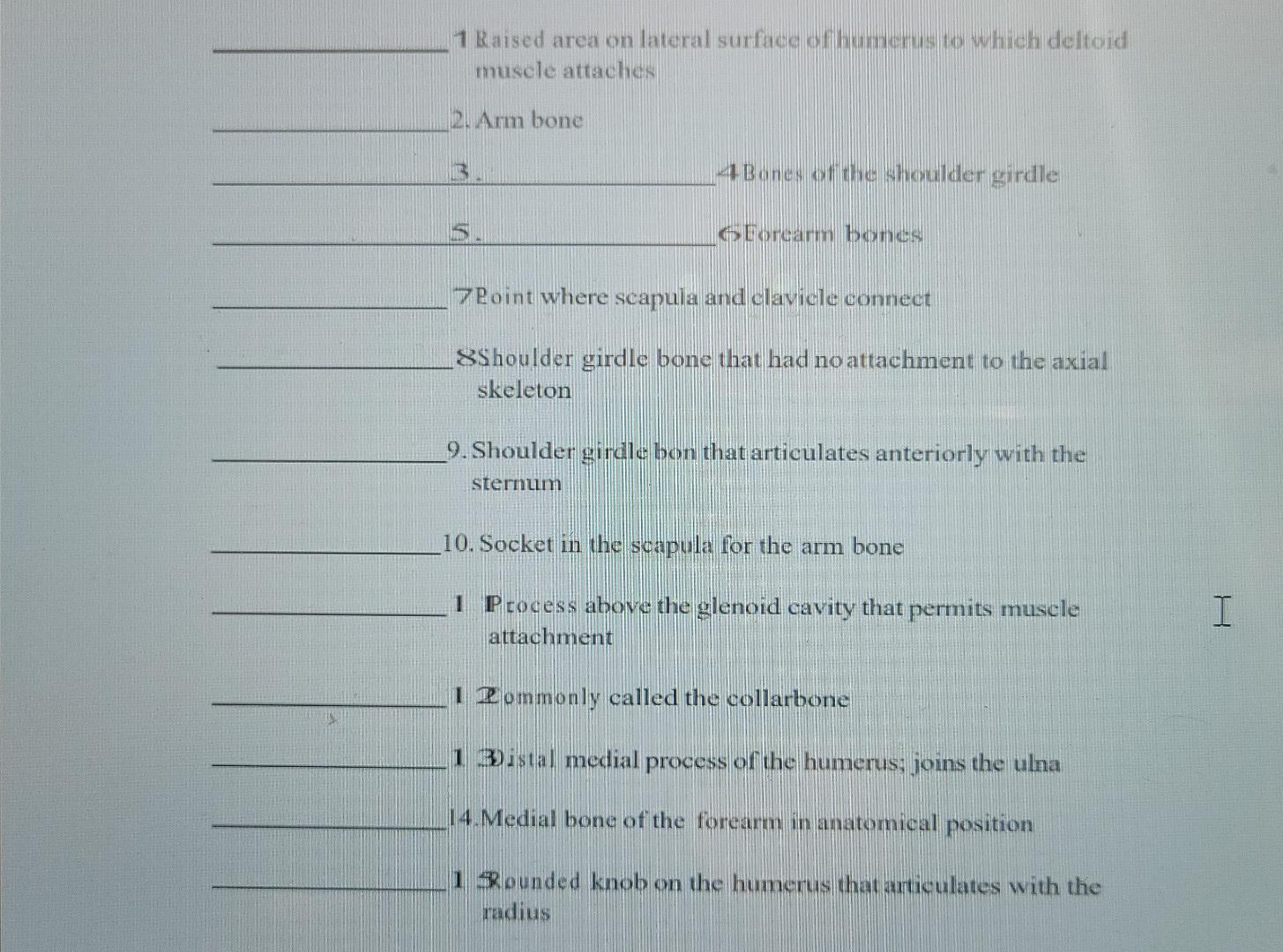 Solved 13. Using the key choices, identify the bone names or | Chegg.com