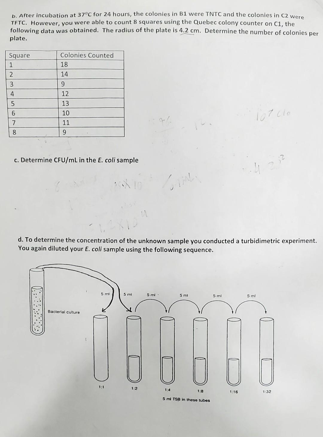 Solved Enumeration: a. In the laboratory you performed the | Chegg.com