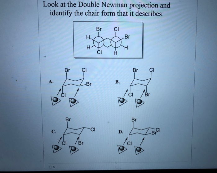 Solved Look at the Double Newman projection and identify the | Chegg.com