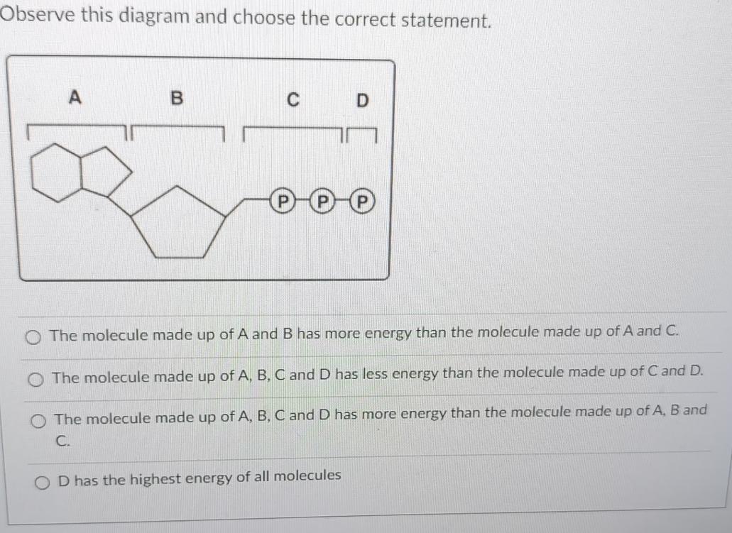 Solved Observe this diagram and choose the correct | Chegg.com