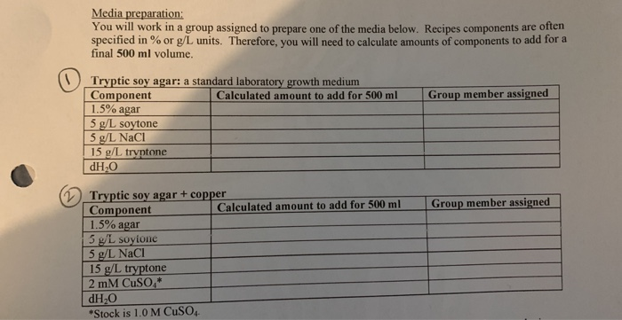 Media preparation: You will work in a group assigned | Chegg.com