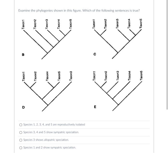 Solved Examine the phylogenies shown in this figure. Which | Chegg.com