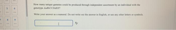 Solved -- -- How many unique gametes could be produced | Chegg.com
