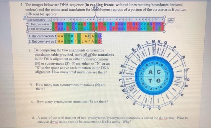 1. The images below are DNA sequence (in reading | Chegg.com